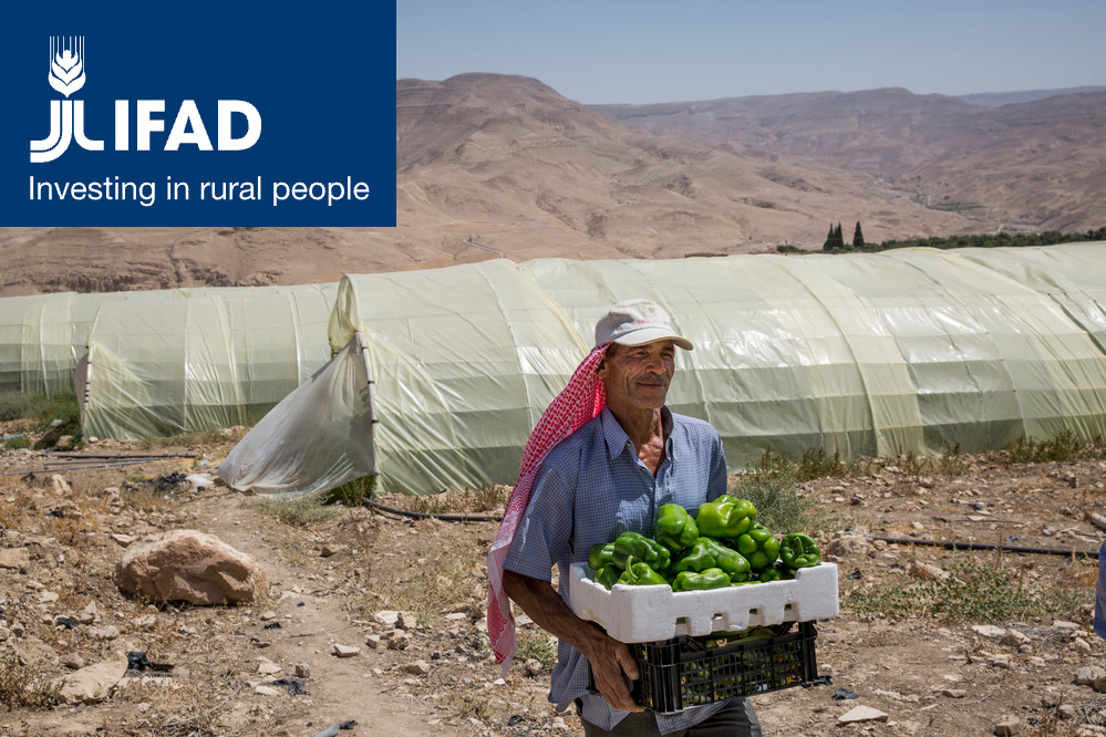 The International Fund for Agricultural Development goes live on TIND ILS